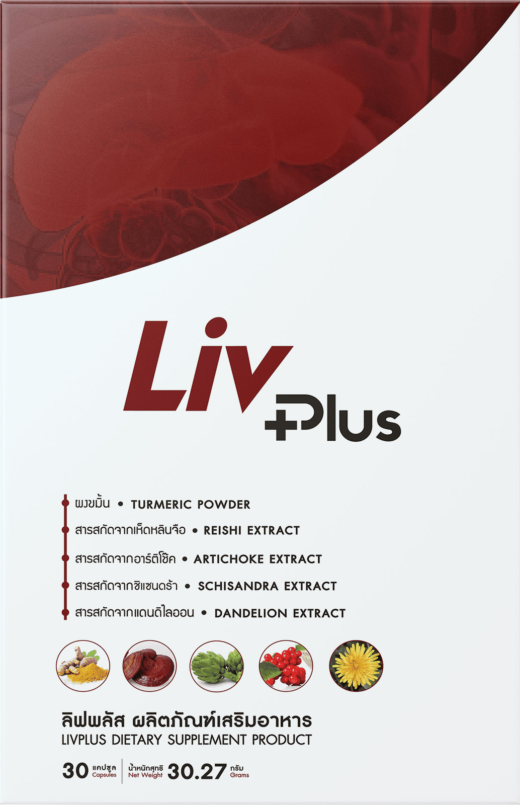 ลิฟพลัส อาหารเสริมระบบทางเดินอาหารและตับ | Livplus TH